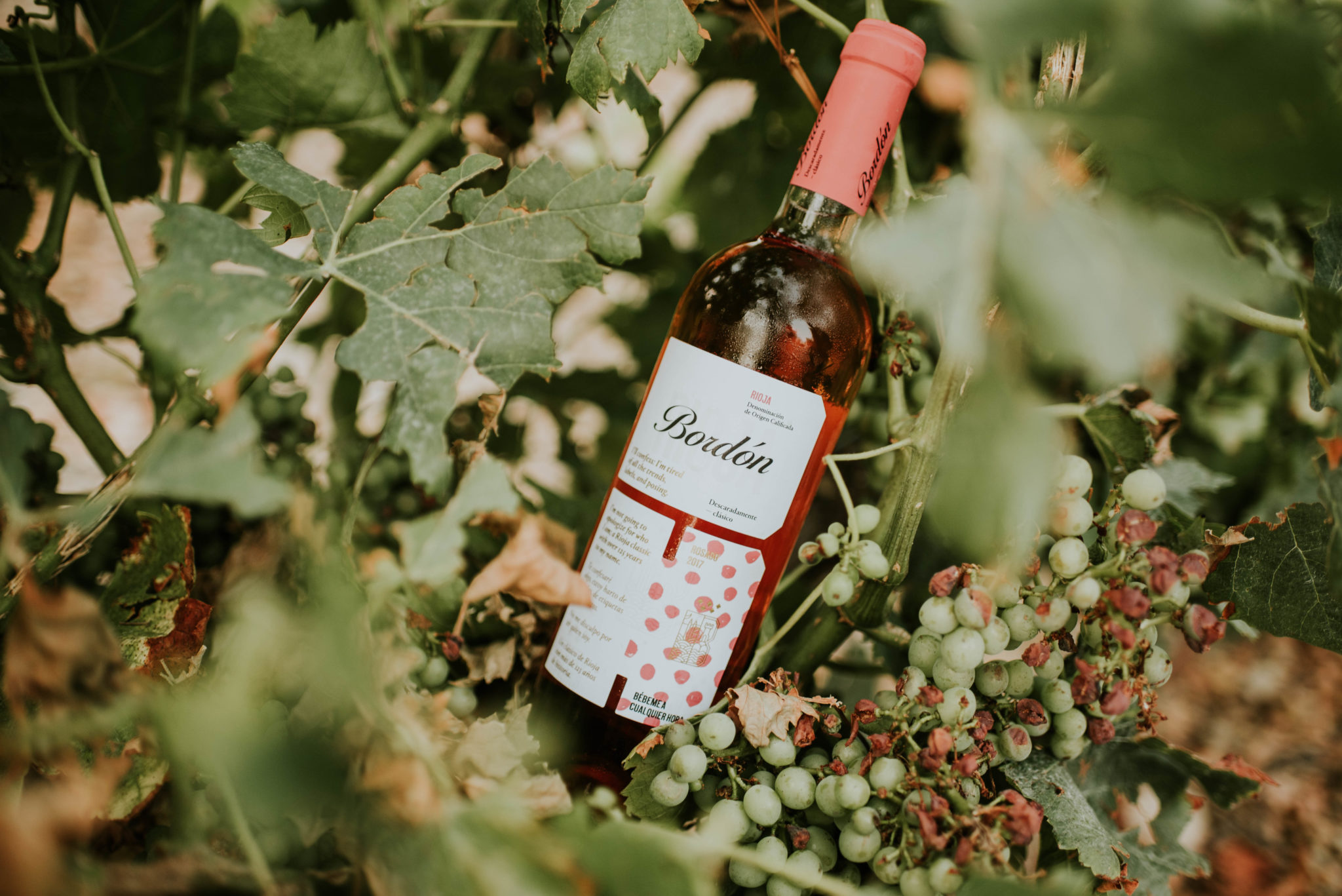 Diferencias entre un vino rosado y un clarete | #DeCosechaPropia